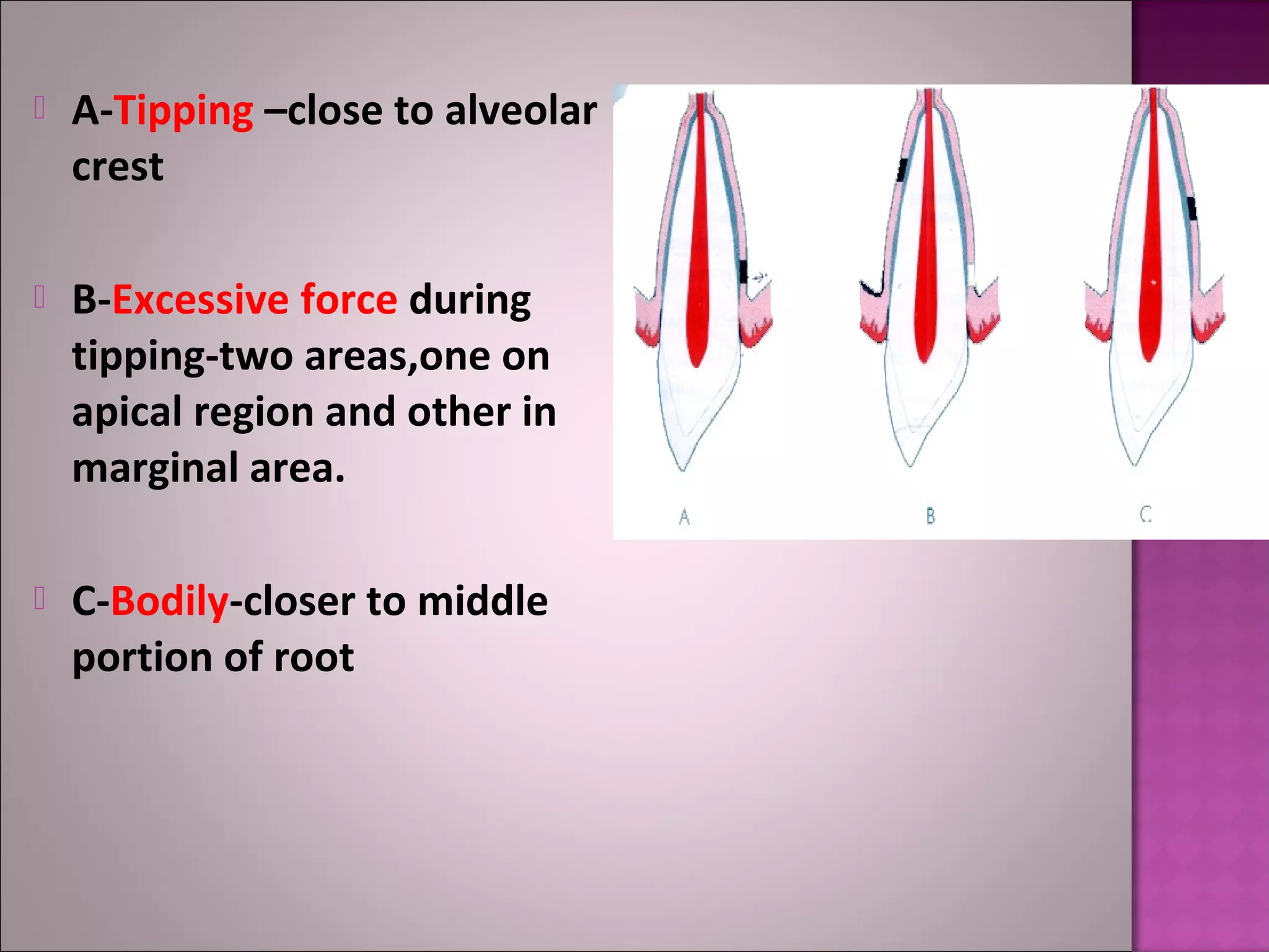 Biological basis of tooth movement | PPT