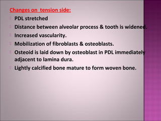 Biological basis of tooth movement | PPT