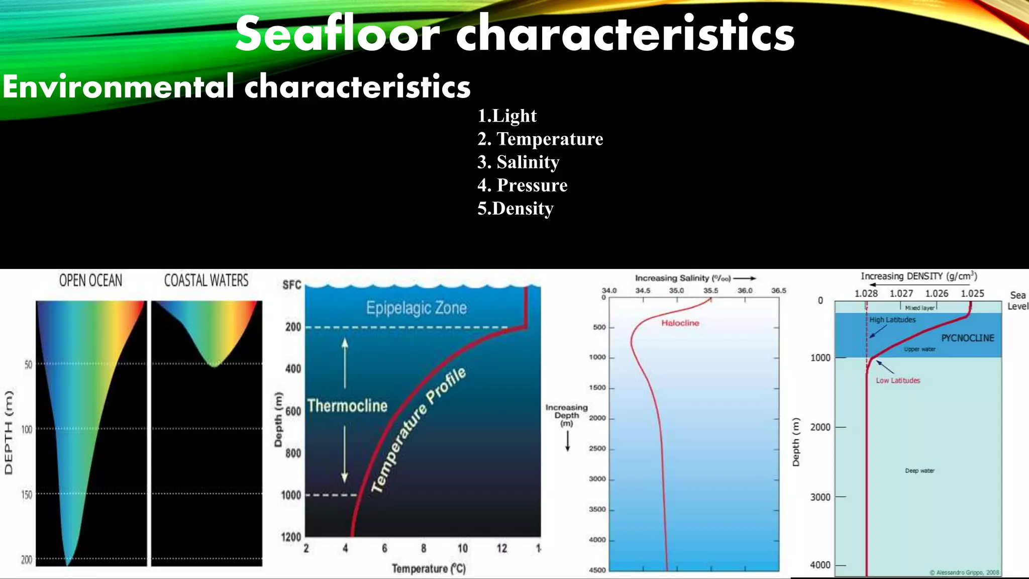 Biological benthos presentation by hafez ahmad | PPTX