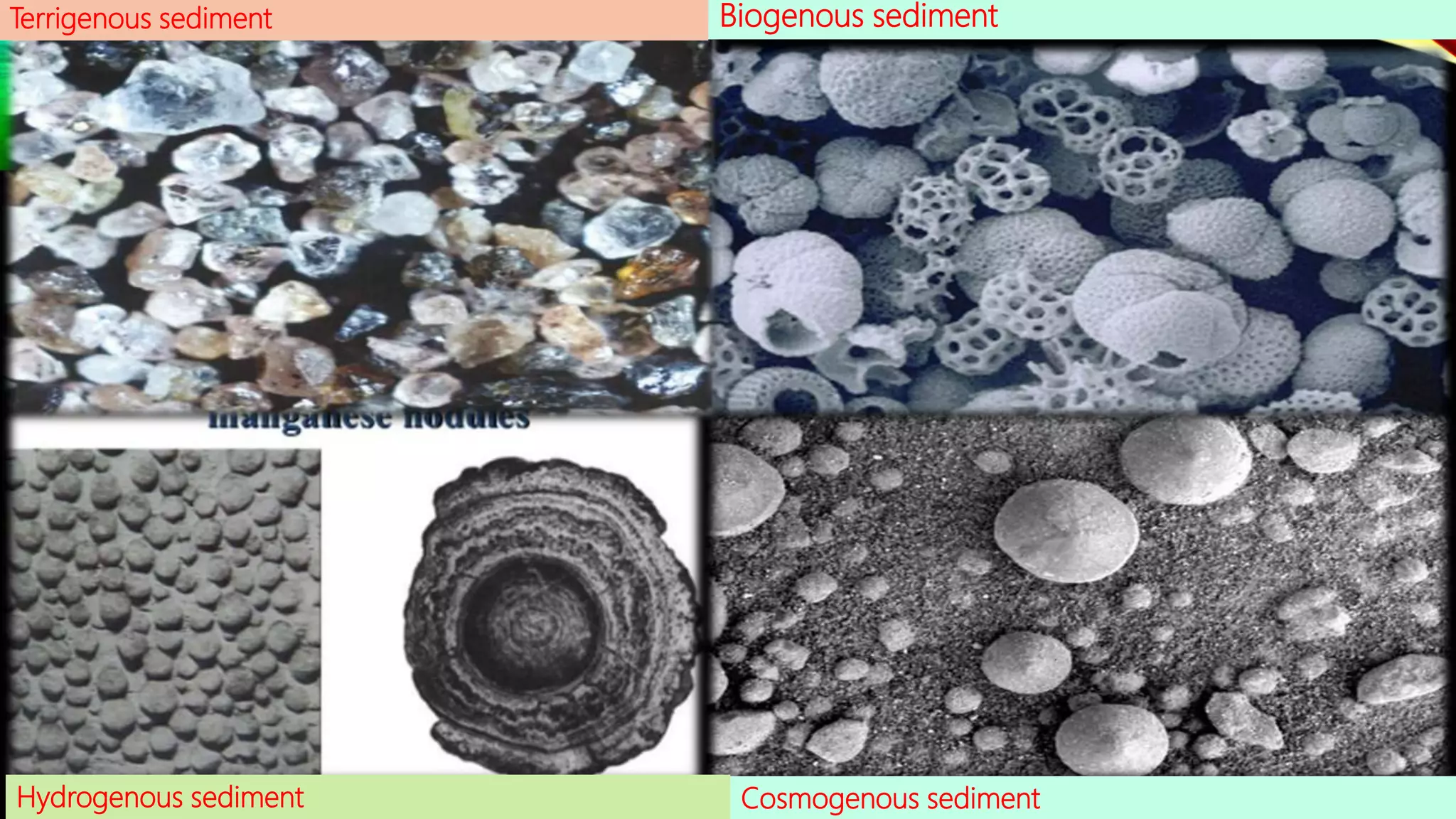 Biological benthos presentation by hafez ahmad | PPTX | Geography | Science