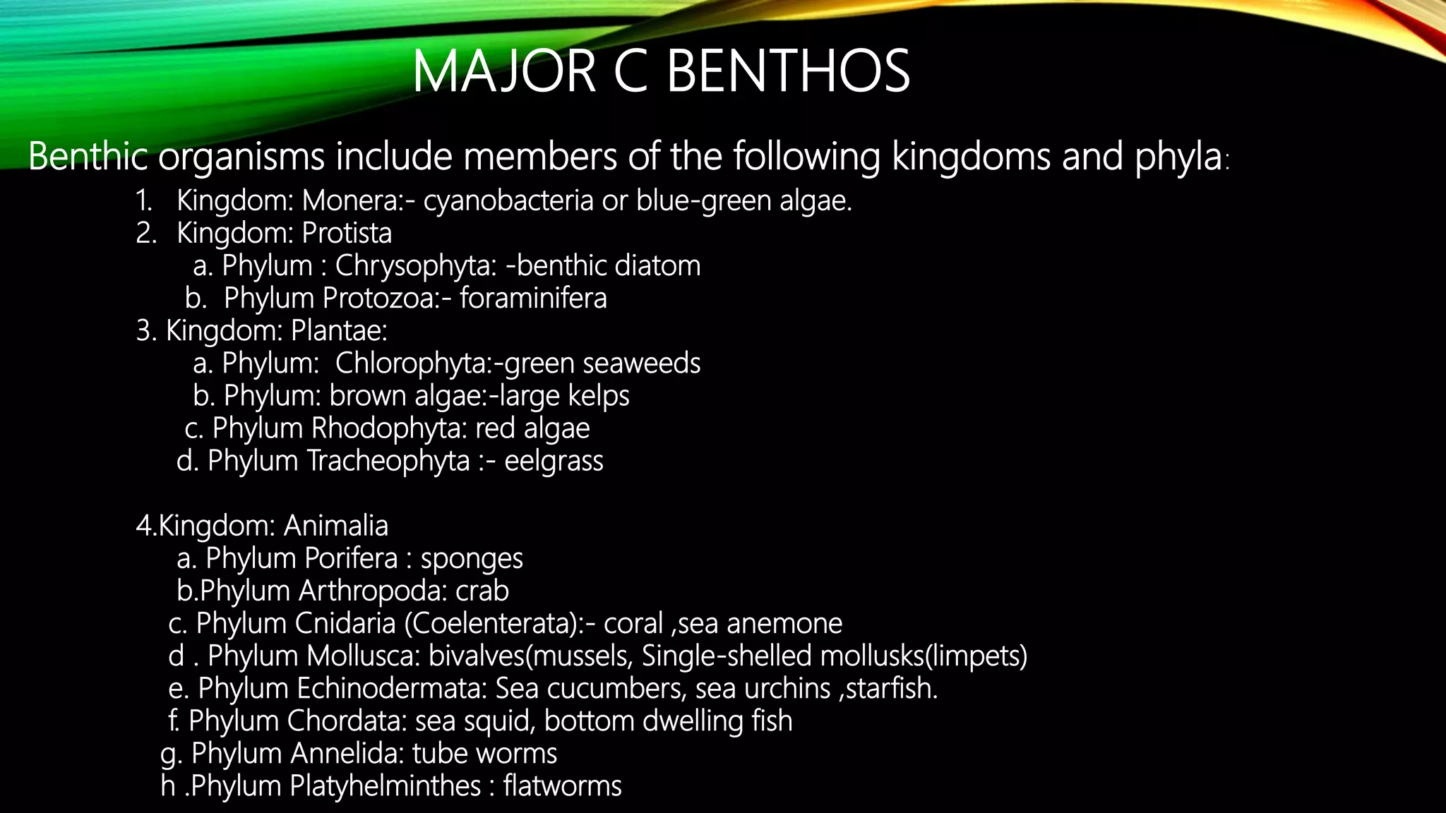 Biological benthos presentation by hafez ahmad | PPTX