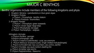 Biological benthos presentation by hafez ahmad | PPTX