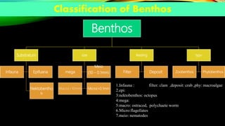 Biological benthos presentation by hafez ahmad | PPTX | Geography | Science