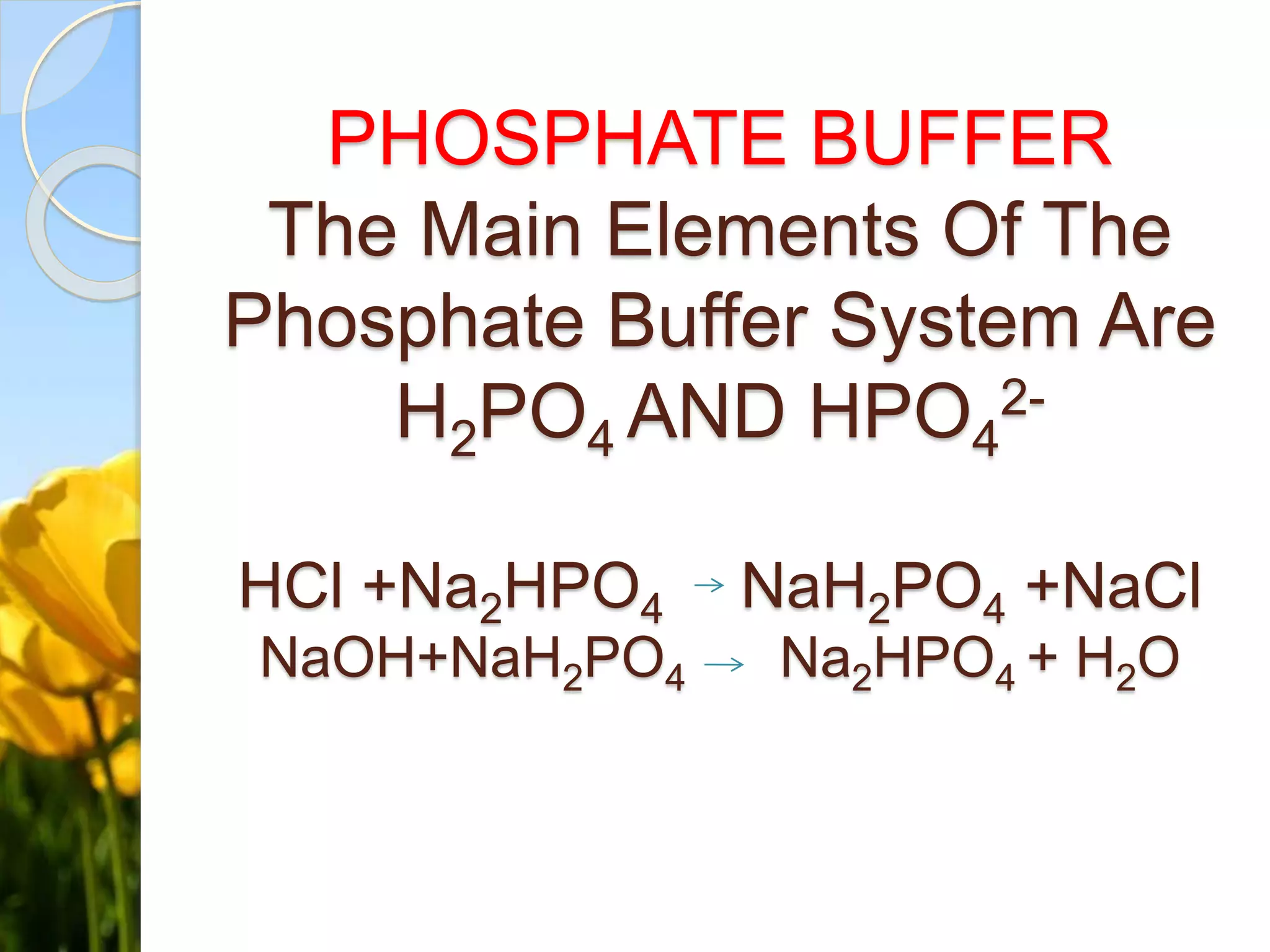 Biological buffer | PPTX