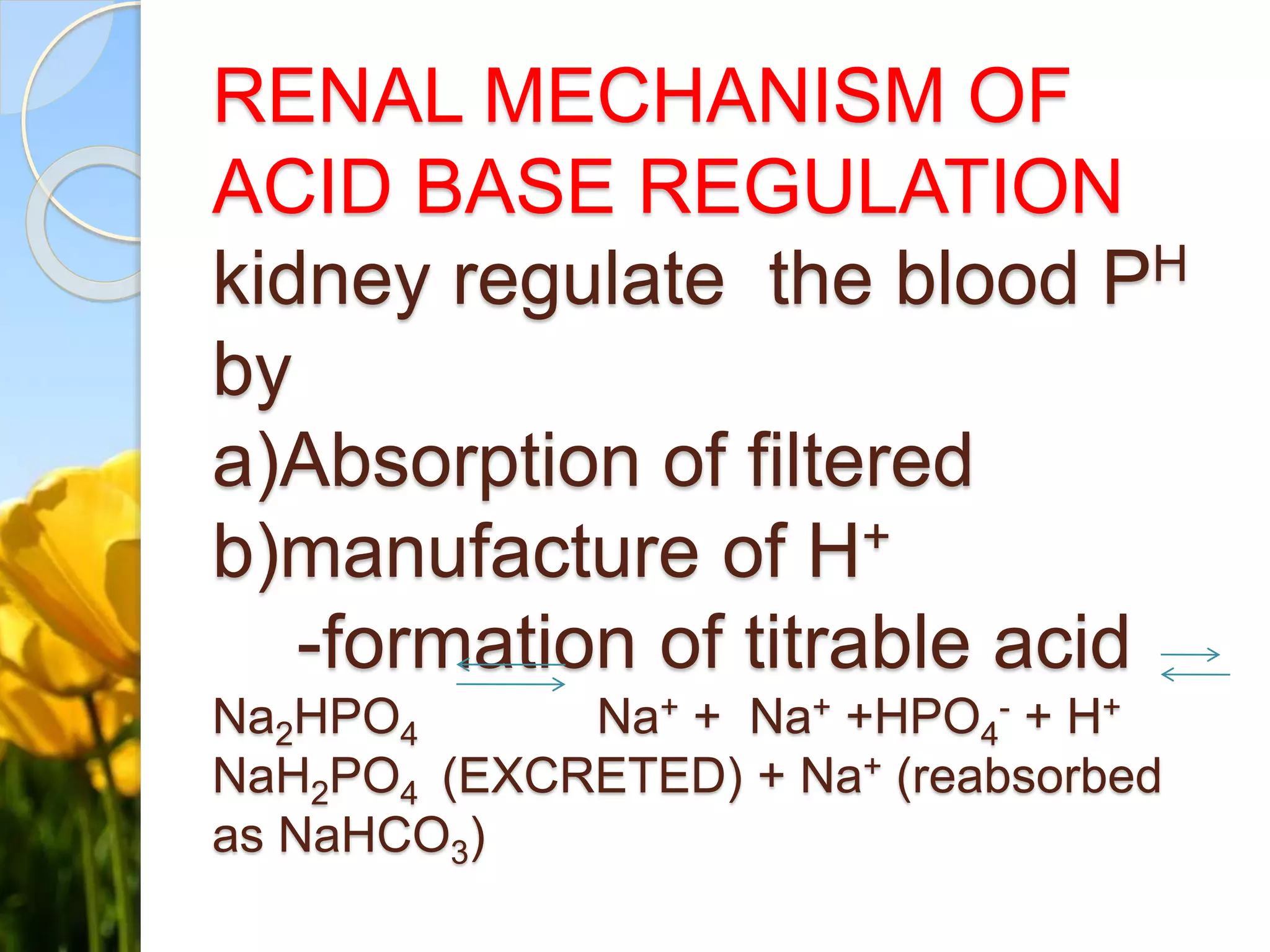 Biological buffer | PPTX