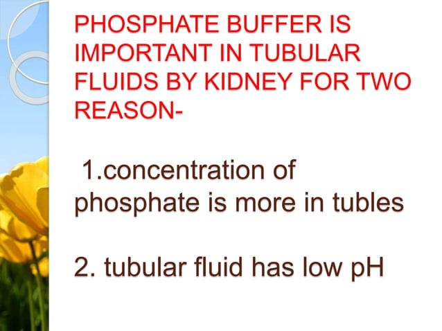 Biological buffer | PPTX