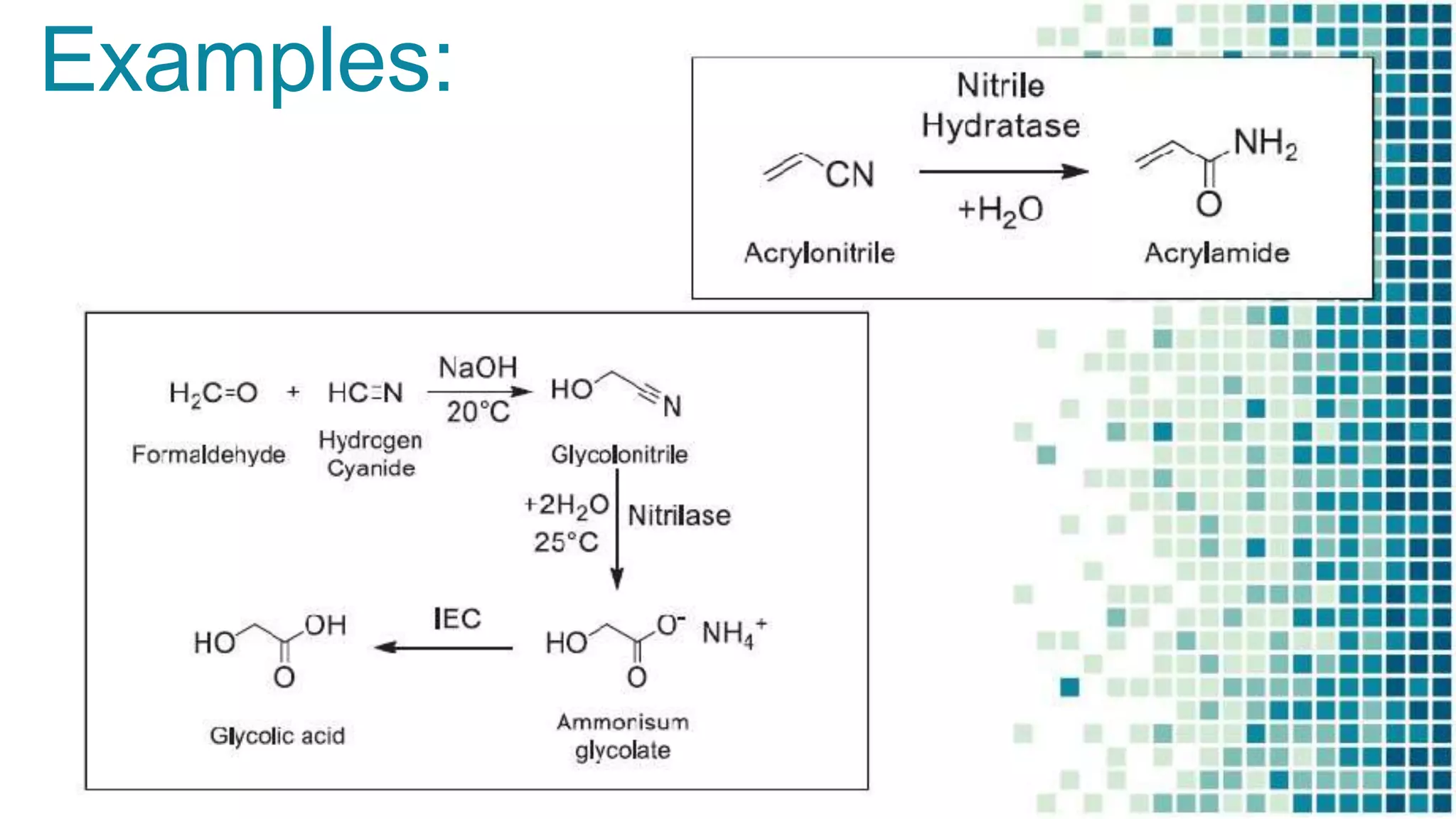Biological Catalyst.pptx