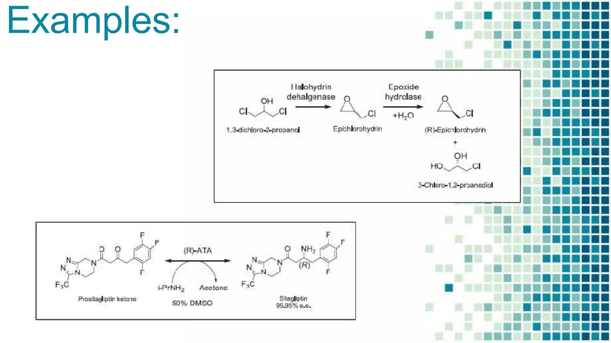 Biological Catalyst.pptx