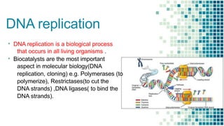Biological Catalyst.pptx