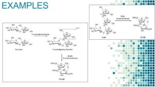 Biological Catalyst.pptx
