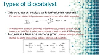 Biological Catalyst.pptx
