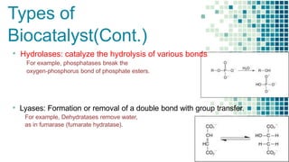 Biological Catalyst.pptx
