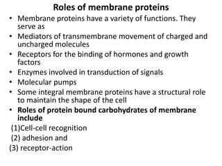 BIOLOGICAL CELL MEMBRANE OF THE CELLS PRESENT IN LIFE | PPT