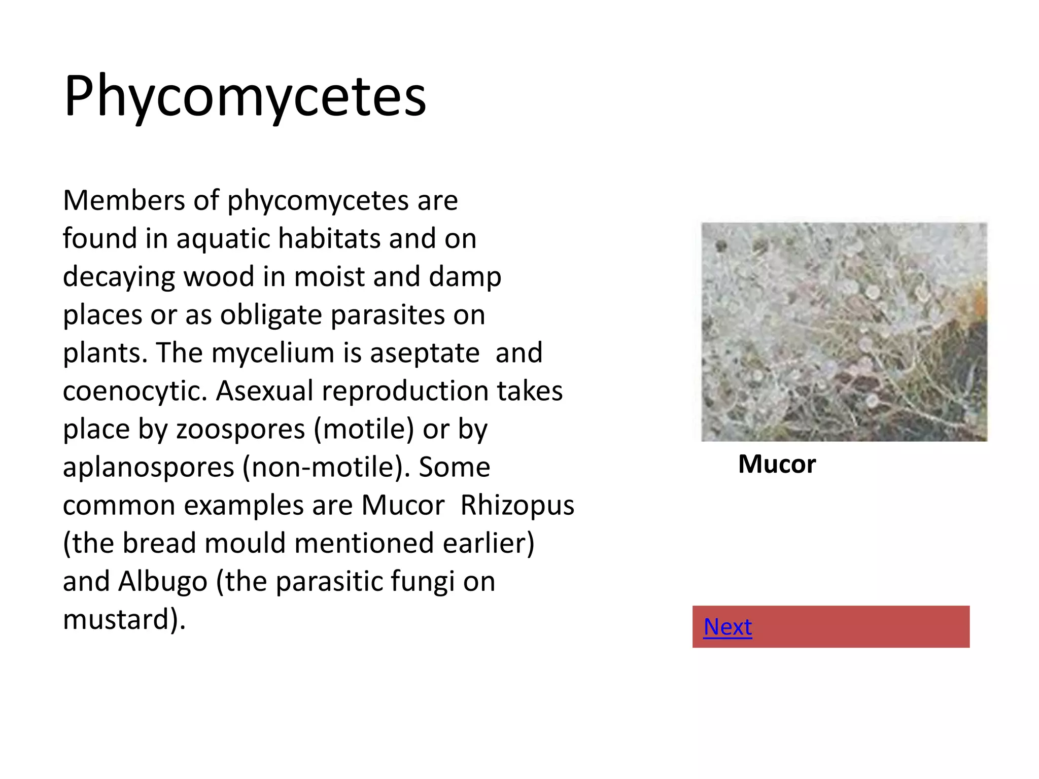 Biological classification | PPSX