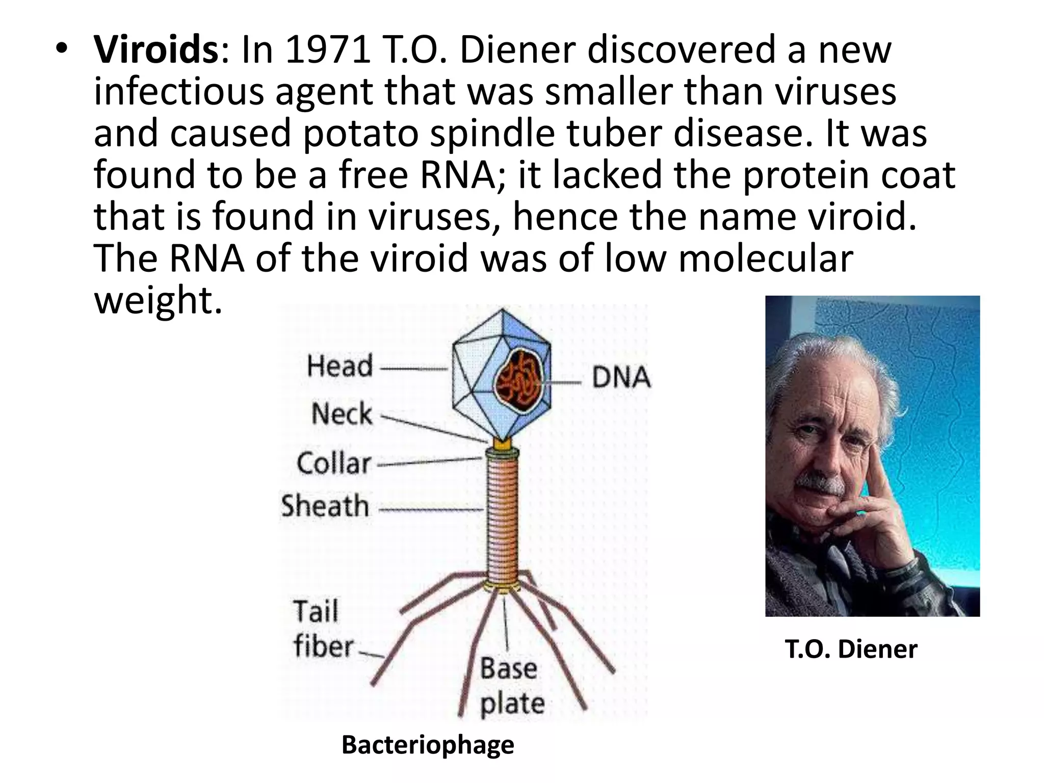 Biological classification | PPSX