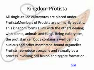 Biological classification | PPSX