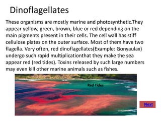 Biological classification | PPSX