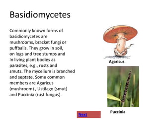 Biological classification | PPSX