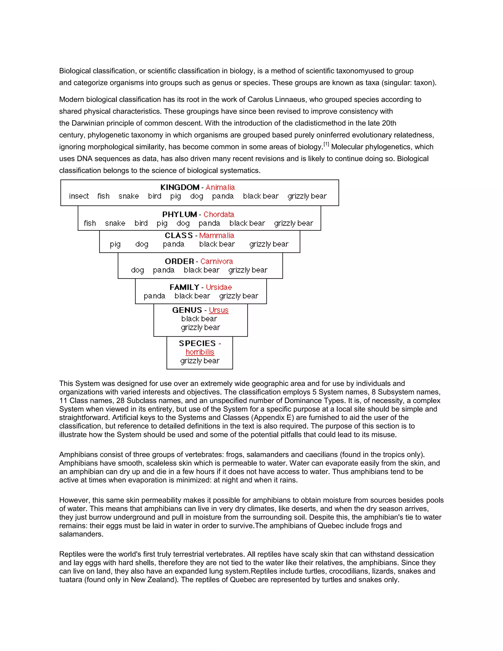 Biological classification | PDF