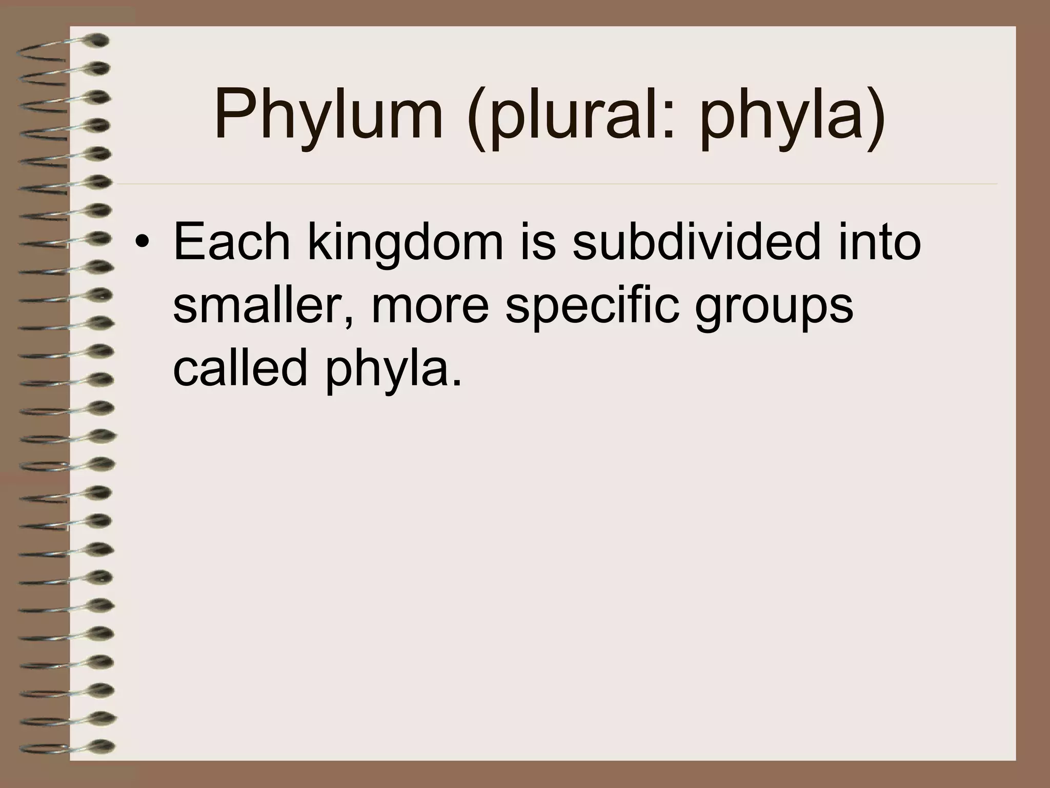 Biological classification | PPT