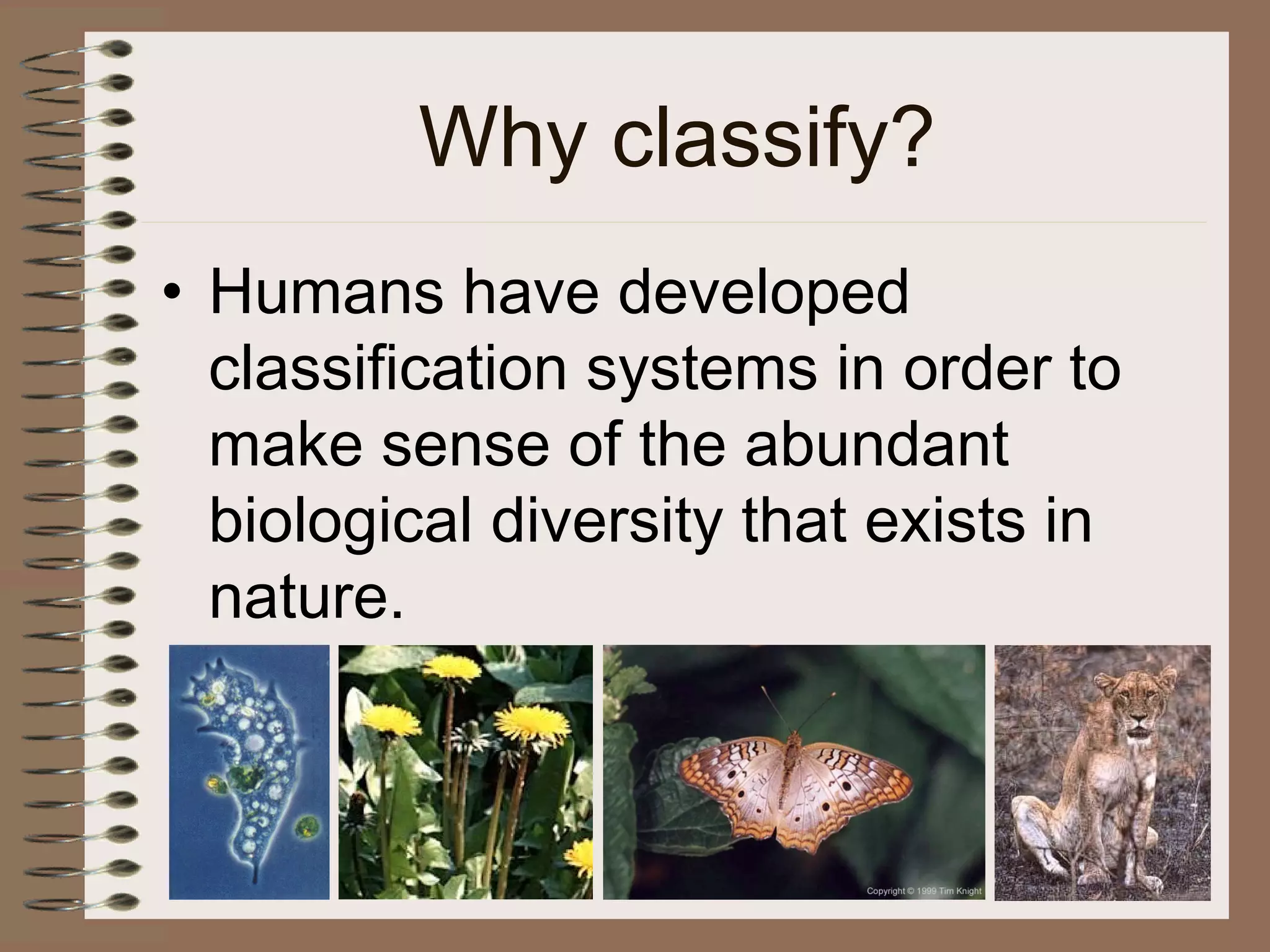 Biological classification | PPT