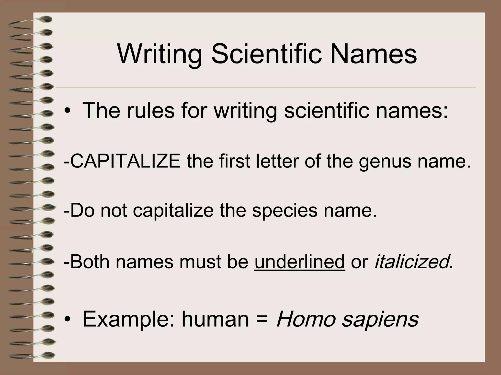 Biological classification | PPT