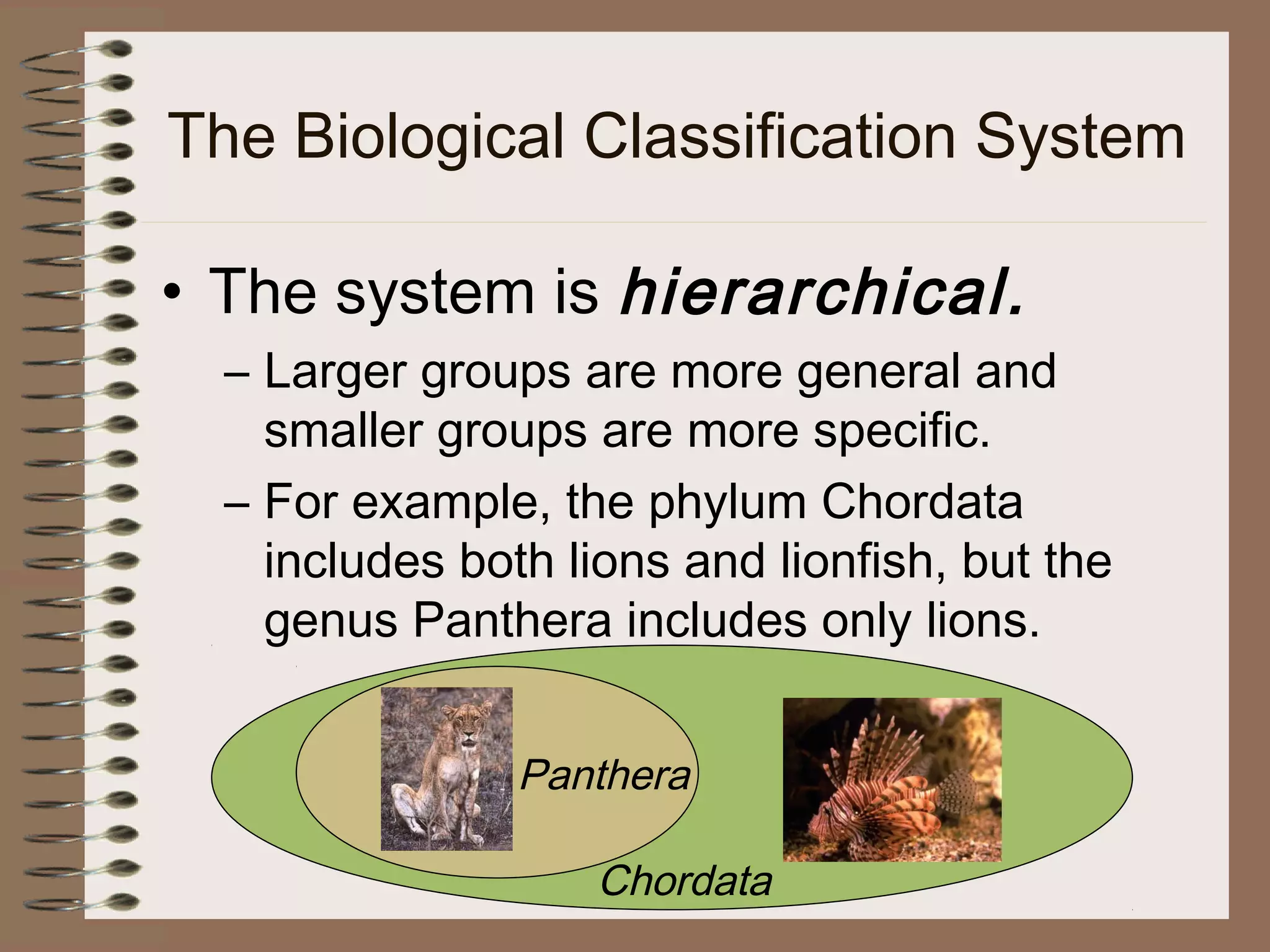 Biological classification | PPT