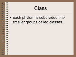 Biological classification | PPT
