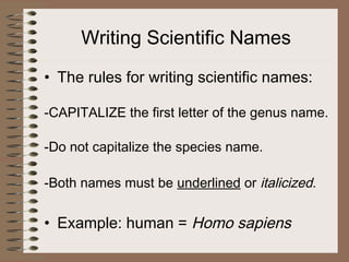 Biological classification | PPT