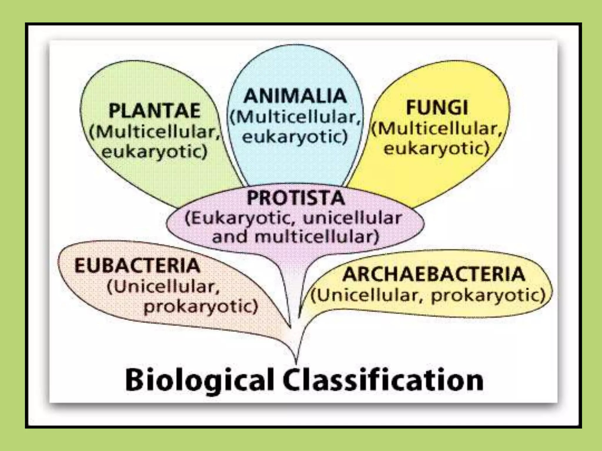 BIOLOGICAL CLASSIFICATION - FIVE KINGDOMS - VIRUS & VIROIDS. | PPTX