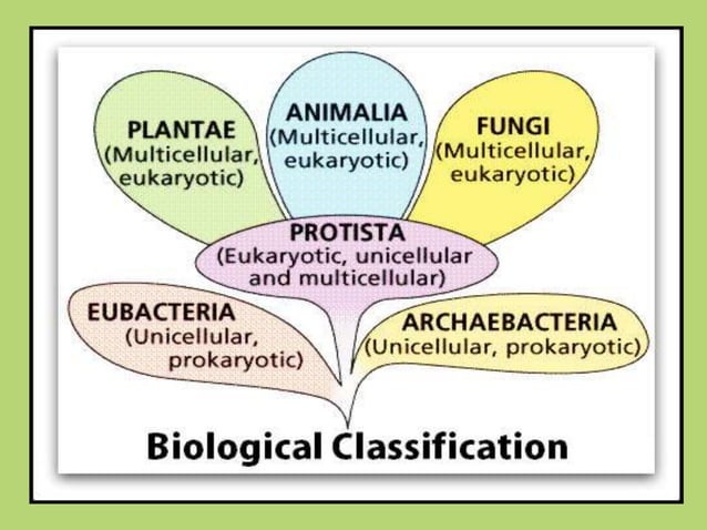 BIOLOGICAL CLASSIFICATION - FIVE KINGDOMS - VIRUS & VIROIDS. | PPTX ...