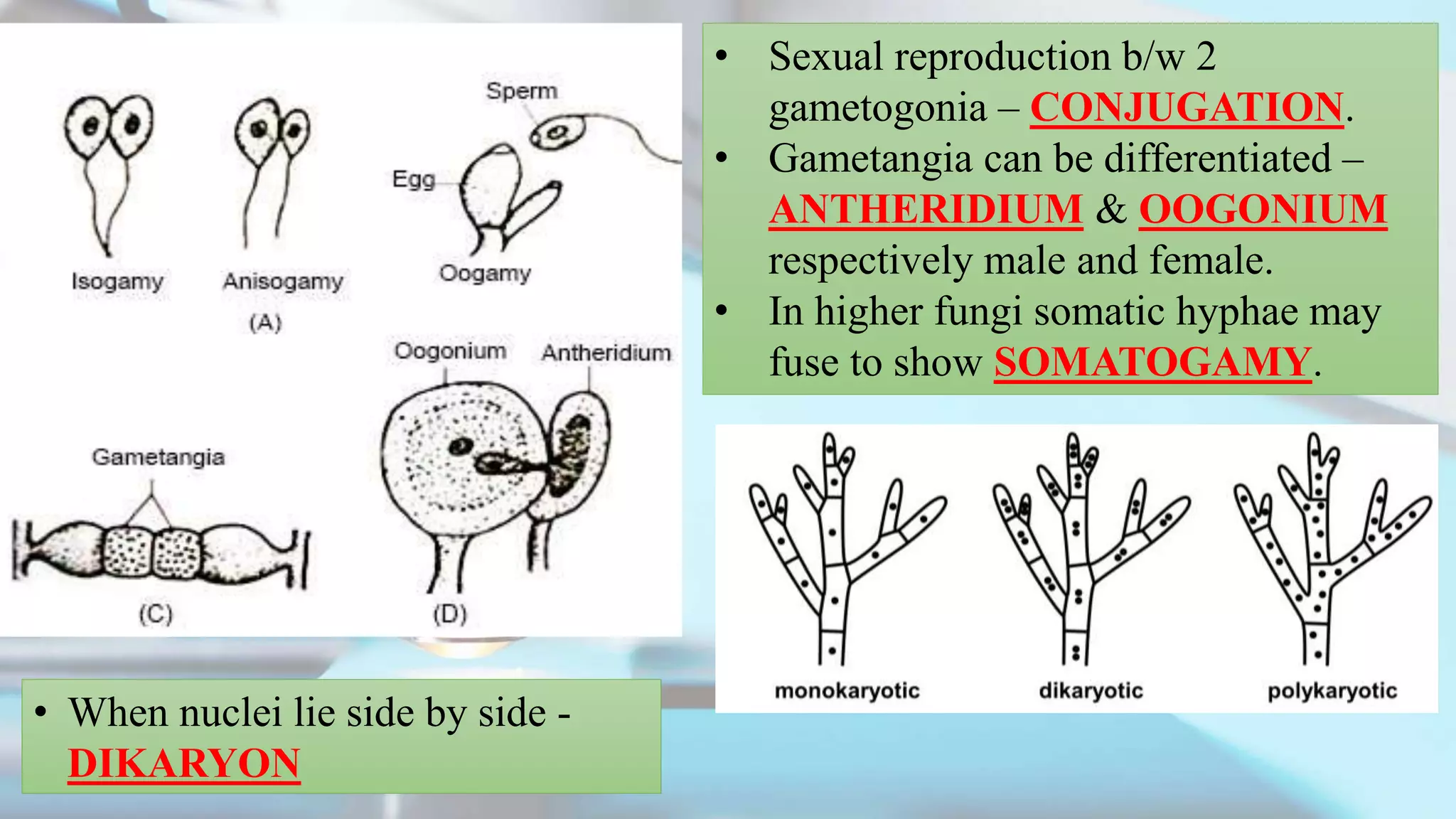 Biological classification | PPTX