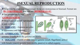 Biological classification | PPTX