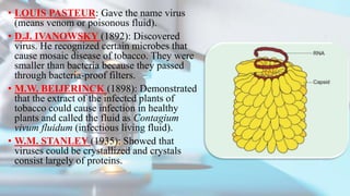 Biological classification | PPTX