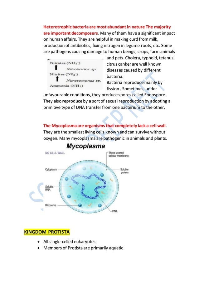 Chapter-2 Biological classification notes | PDF | Biological Sciences ...