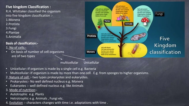 Class 11th - Biological classification | PPTX | Biological Sciences ...
