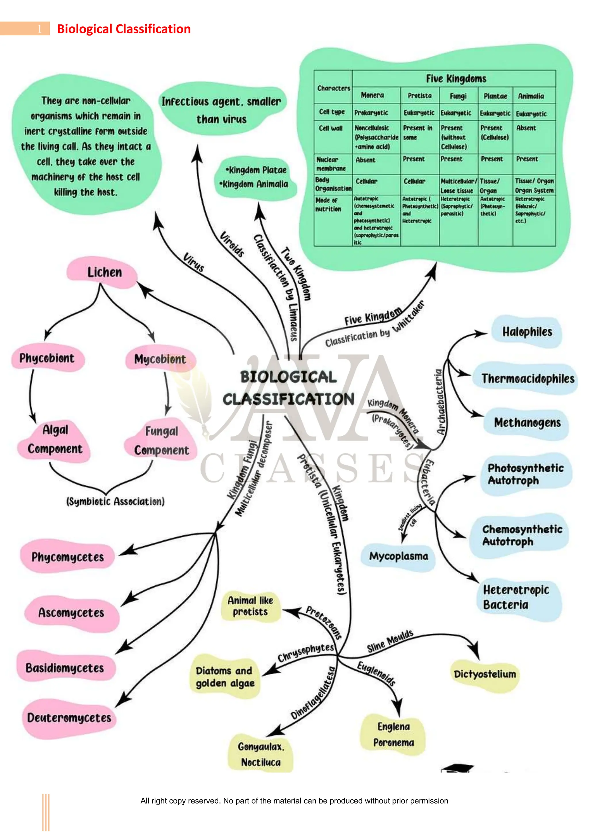 NEET Biology-Class 11 Biological Classification Study Material pdf download | PDF