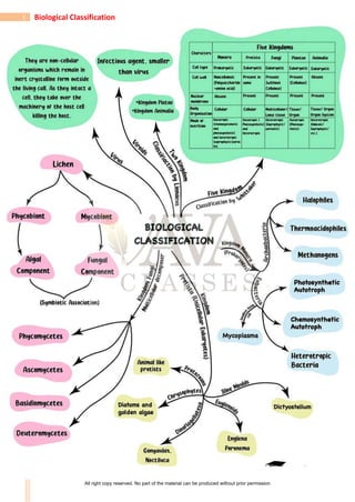 NEET Biology-Class 11 Biological Classification Study Material pdf ...