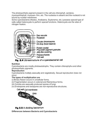 Biological classification chapter 2 | PDF