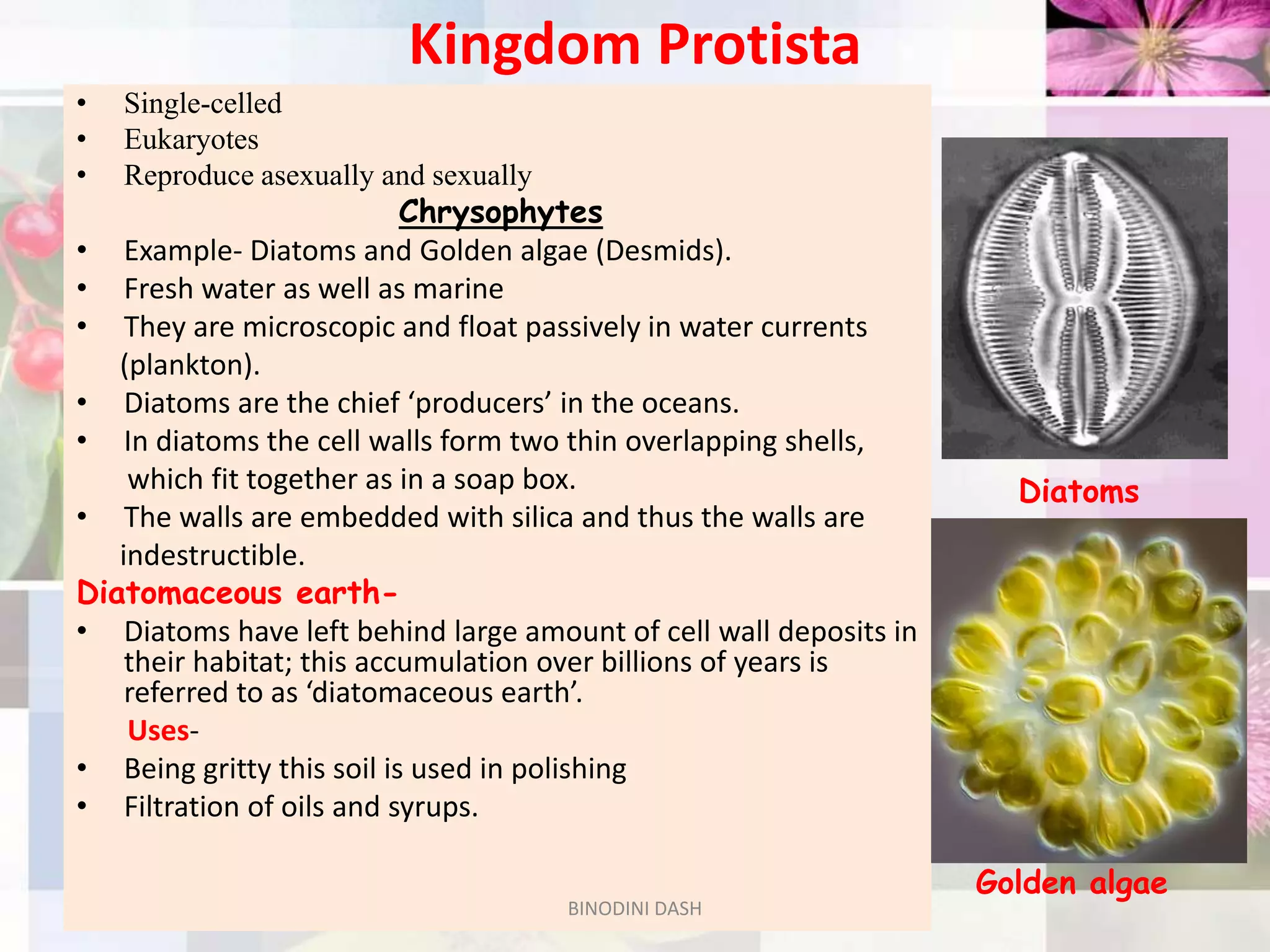 Biological Classification | PPTX