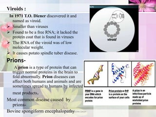 Biological Classification | PPTX