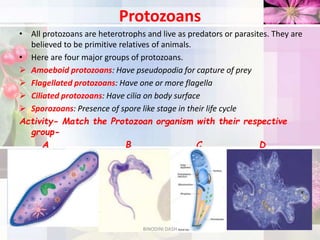 Biological Classification | PPT