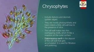 Biological classification CLASS11th | PPTX
