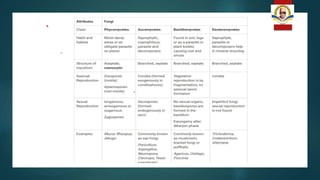 Biological classification CLASS11th | PPTX