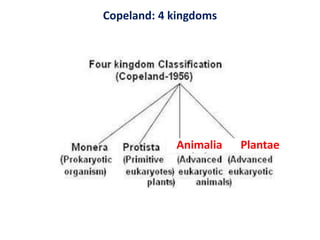 Biological classification and Monera and Protista kingdom | PPTX