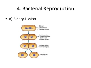 BIOLOGICAL CLASSIFICATION_MONERA.priyajha | PPT