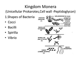 BIOLOGICAL CLASSIFICATION_MONERA.priyajha | PPT