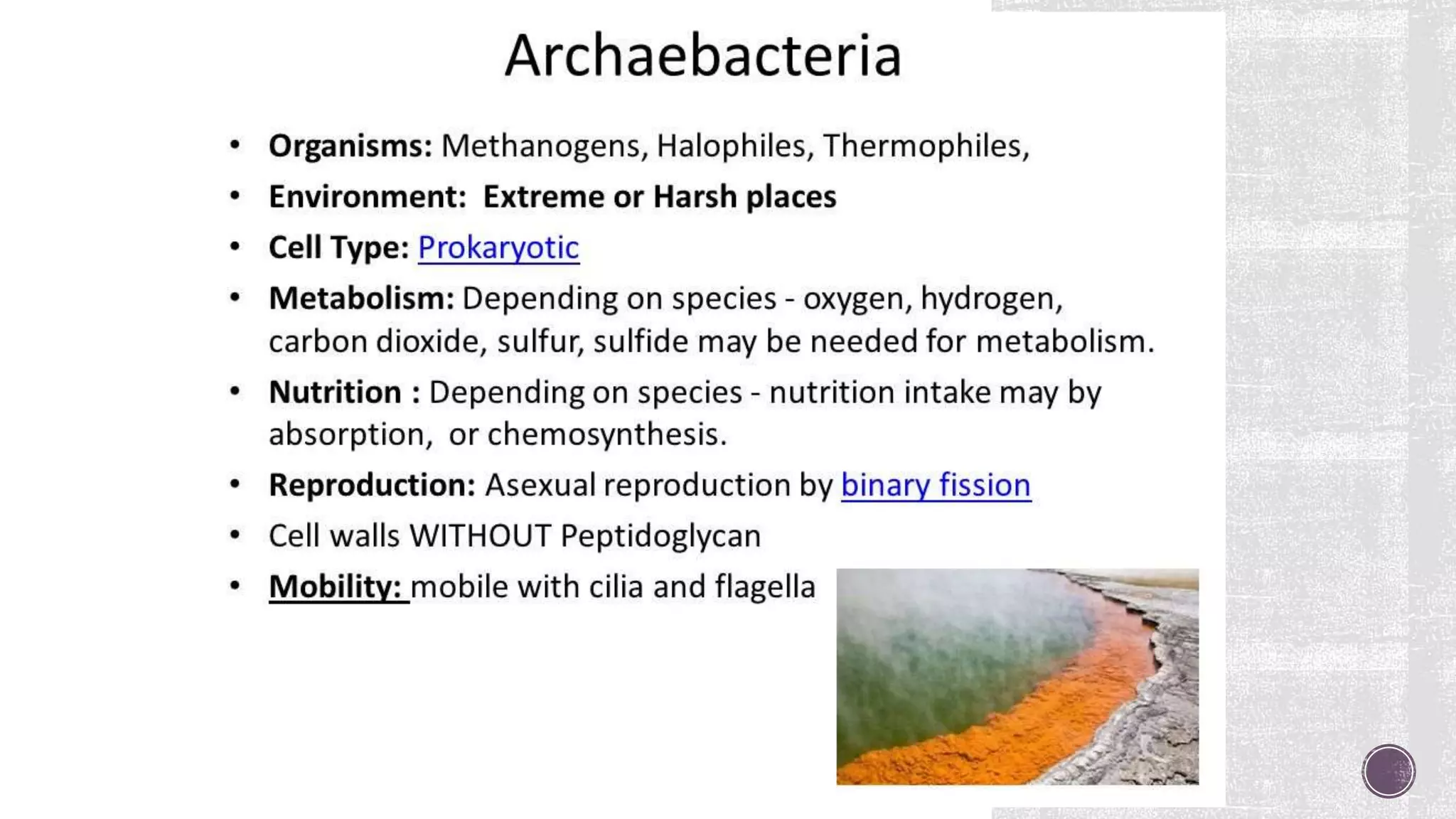 Biological Classification Part - I | PPT | Free Download