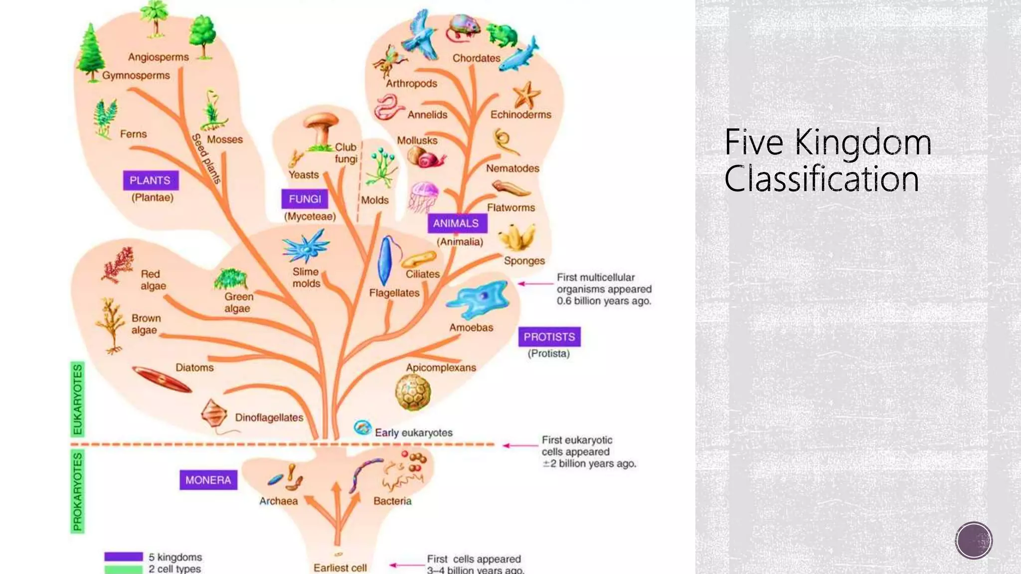 Biological Classification Part - I | PPTX