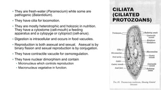 Biological classification Part-II | PPT